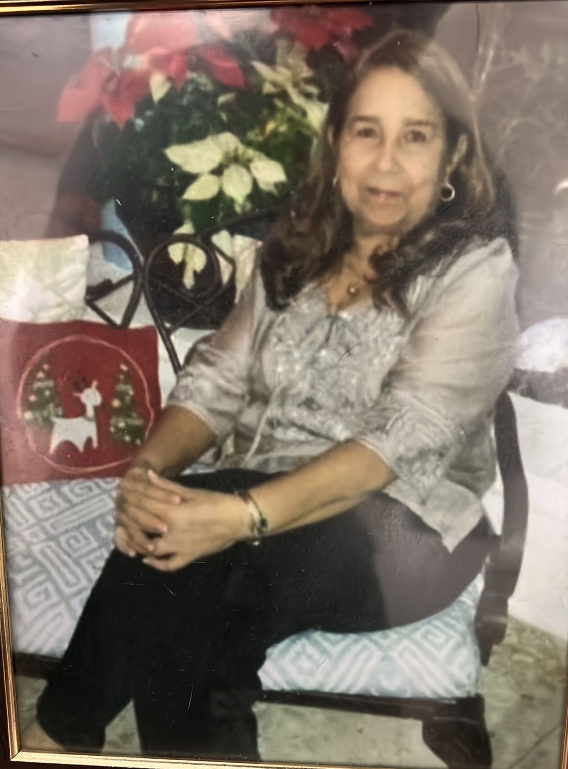 Mary Ann Mercedes Diseñadora de modas - El Sol de la Florida